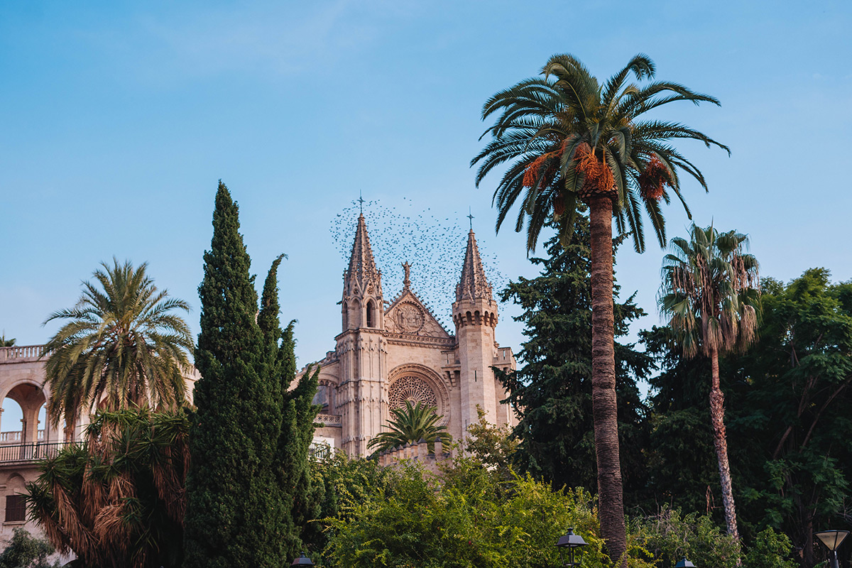Palma in Fotos - Das Leben auf Mallorca